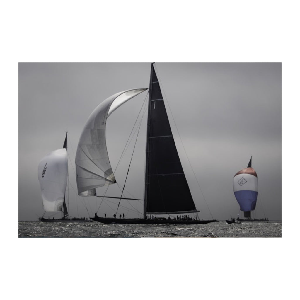 Newport III – KRISTEN COATES