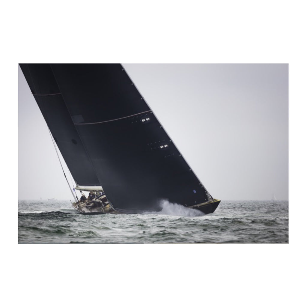 Newport VI – KRISTEN COATES